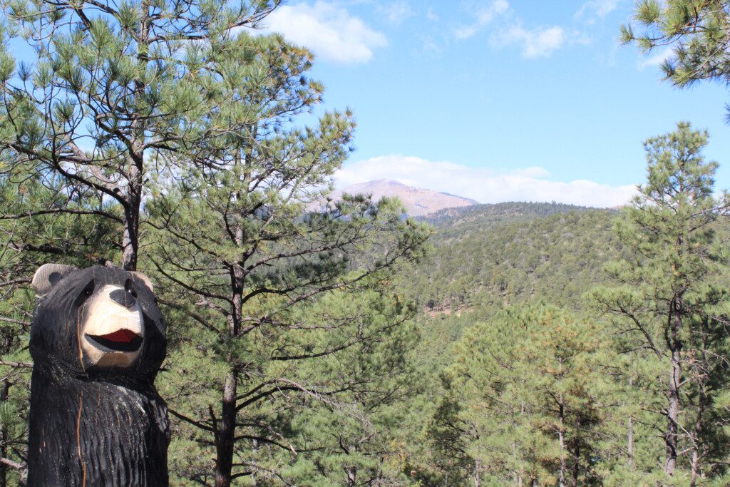 Home - Curated Comforts, LLC